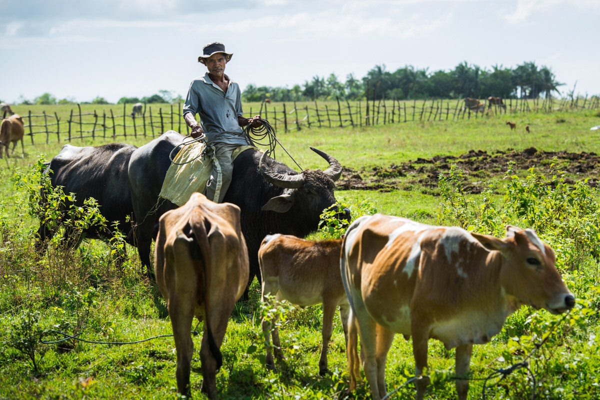 Highlights from a Steady 2014 | Photographer Jacob Maentz