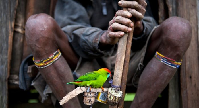 Into the mountains with the Tigwahanon Manobo | Photographer Jacob Maentz